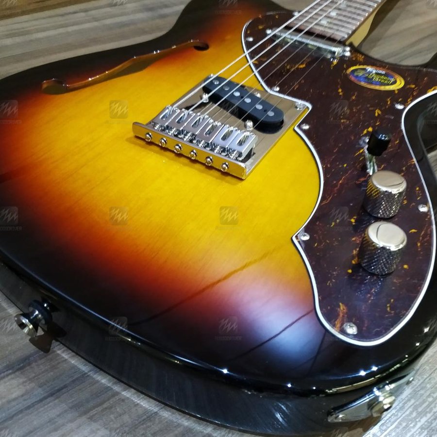 Guitarra Tagima Telecaster Semi Acústica T-484 Sunburst Escudo Tortoise ...