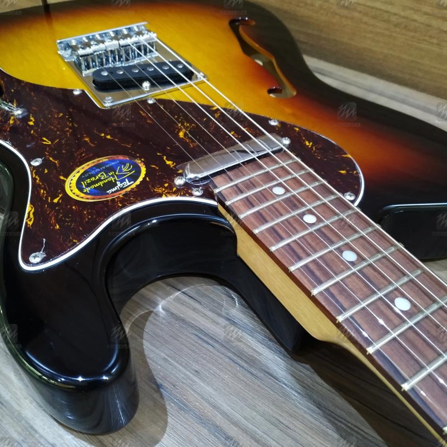 Guitarra Tagima Telecaster Semi Acústica T-484 Sunburst Escudo Tortoise ...